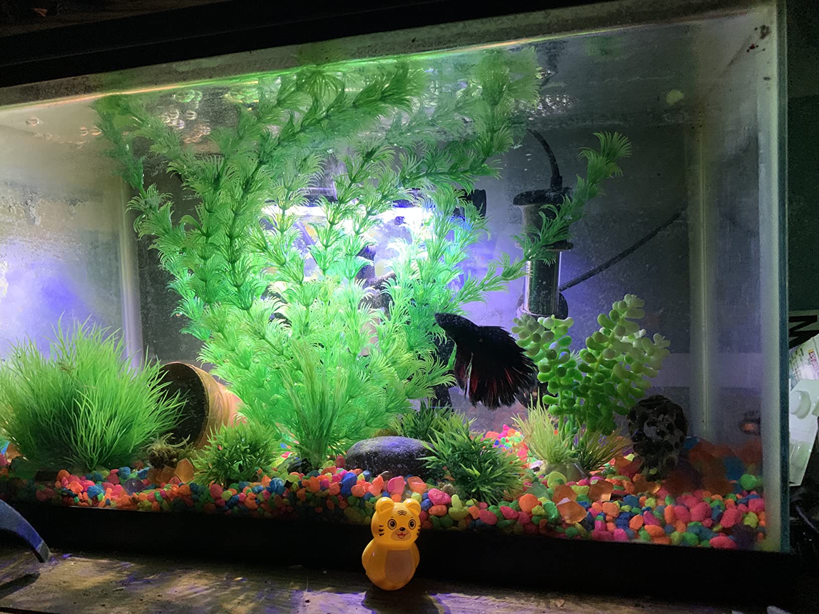 $3/mo - Finance QUMY Aquarium Plants Artificial Plastic Fish Tank ...