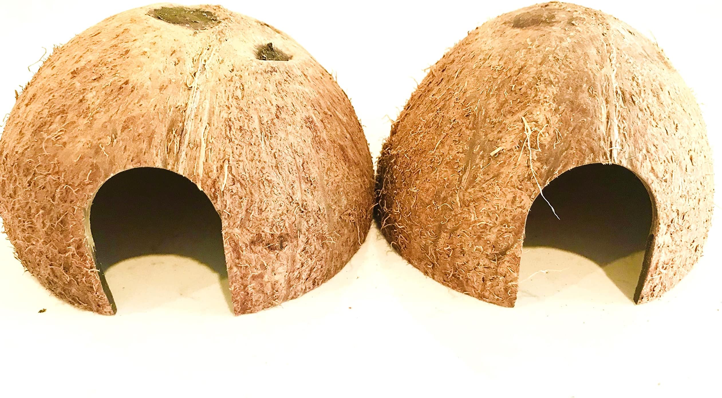 Amazon.com : Hexagrowth Coco Hut, Betta Fish cave, Shrimp Hideout ...