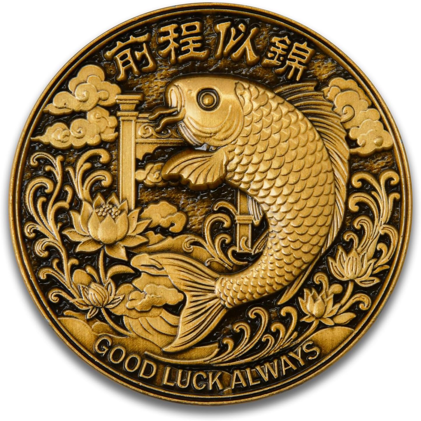 Amazon.com: Lucky Charm Challenge Coin Set - Good Luck Always & Fortune ...