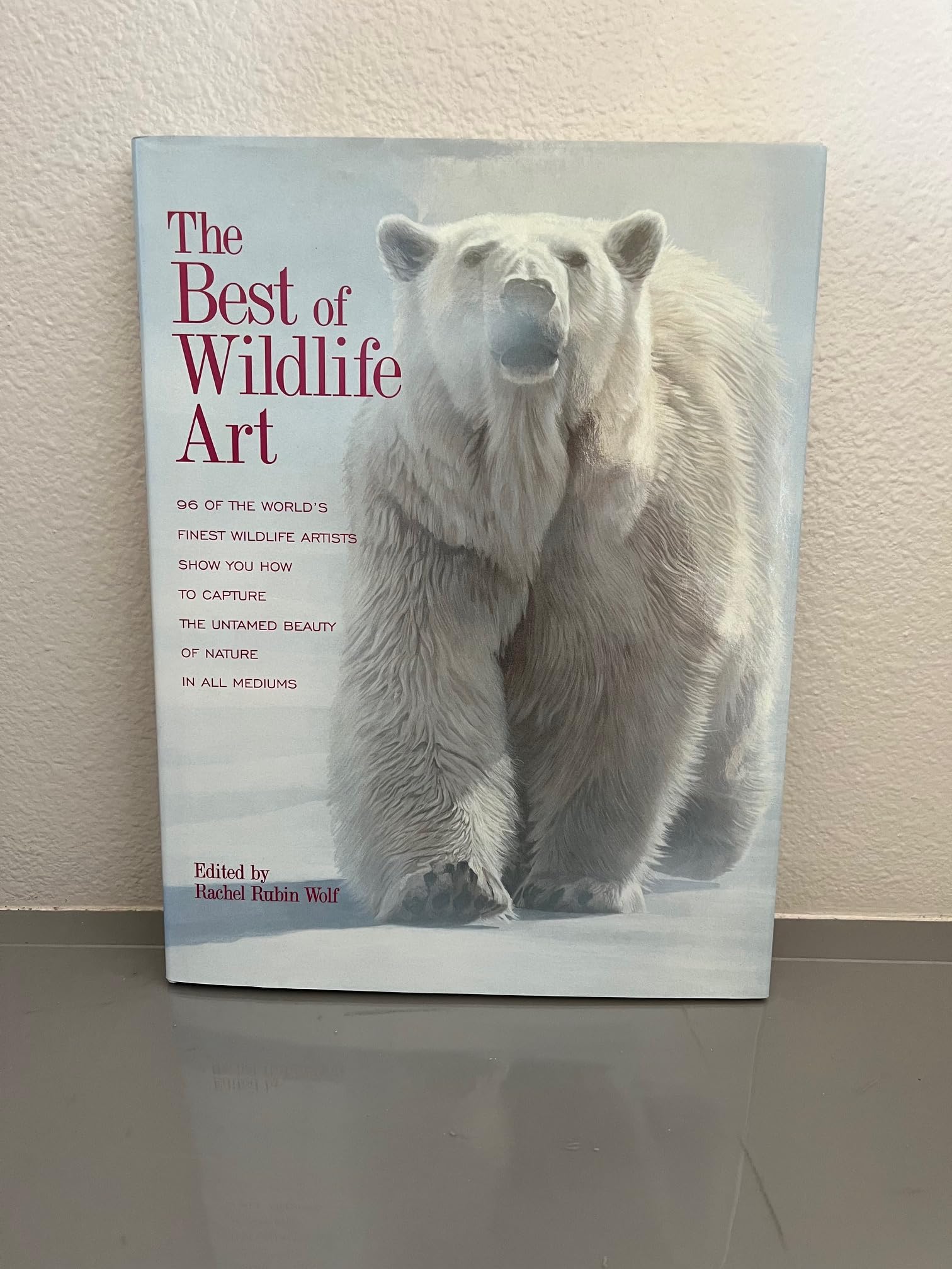 The Best of Wildlife Art: Rubin Wolf, Rachel: 9780891347439: Amazon.com ...