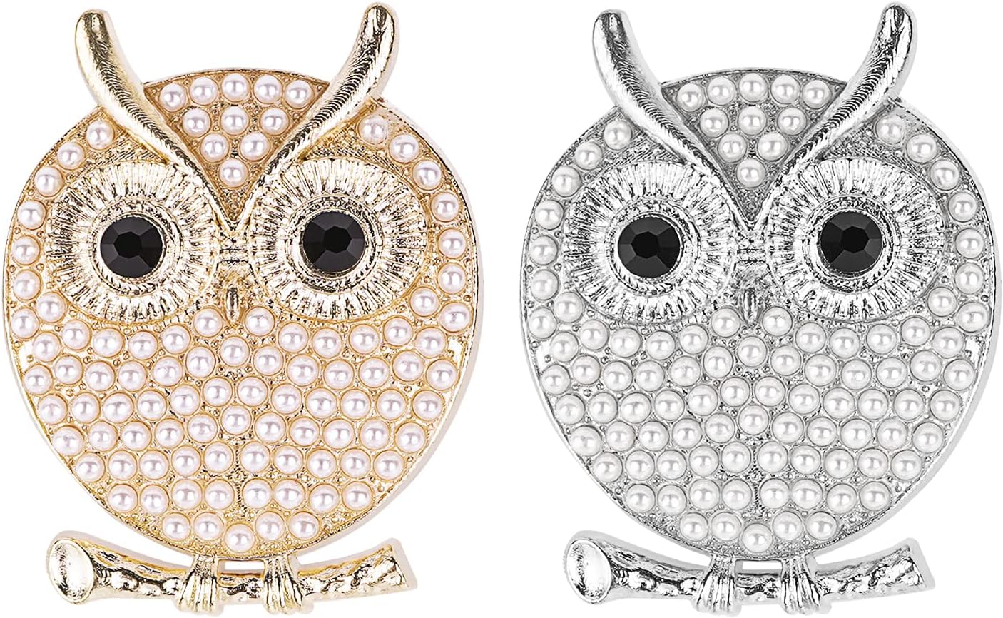 Amazon.com: Bath & Body Works Autumn Owl Car Fragrance Visor Clip ...