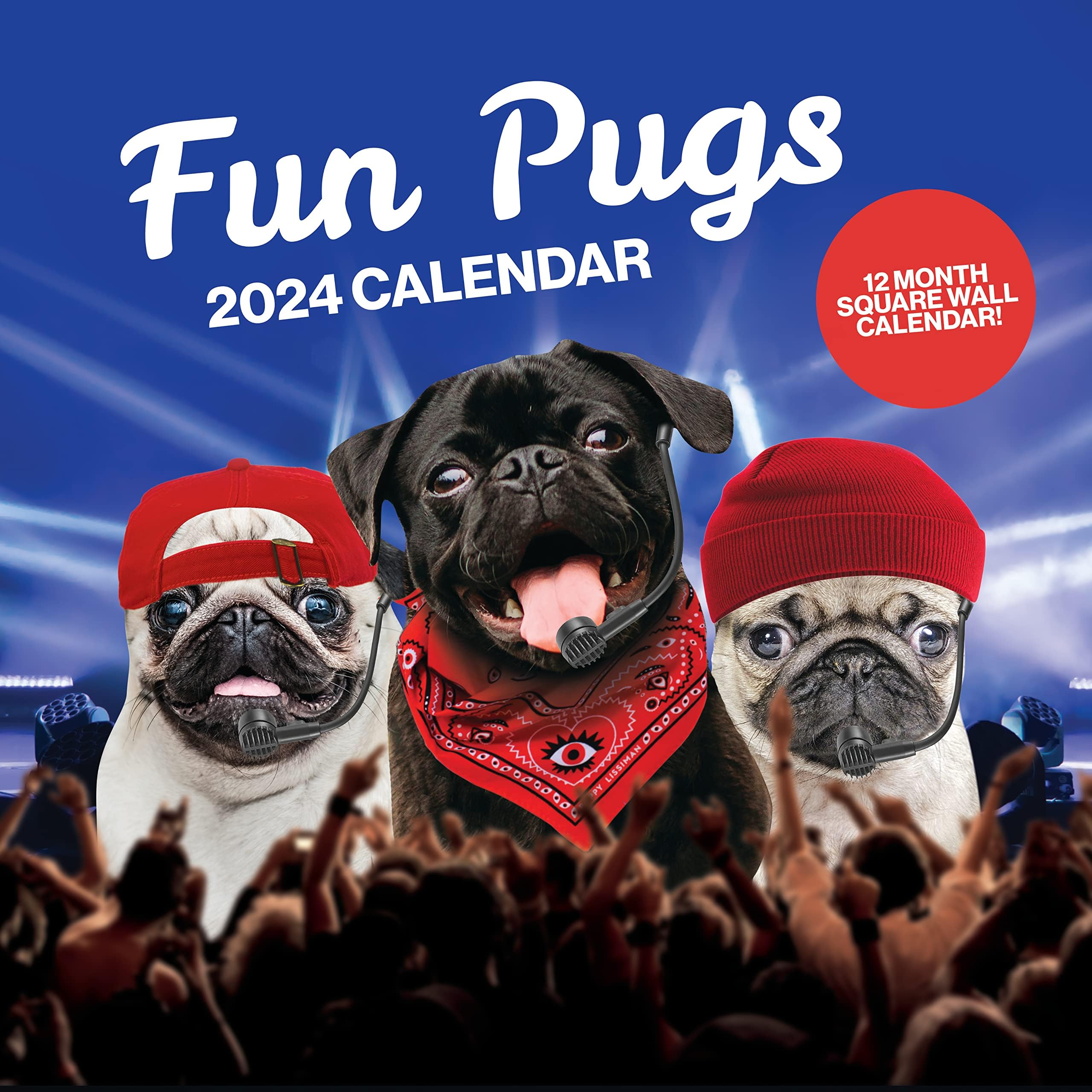 Amazon.com: Willow Creek Press Pug Mugs Monthly 2024 Wall Calendar (12 ...