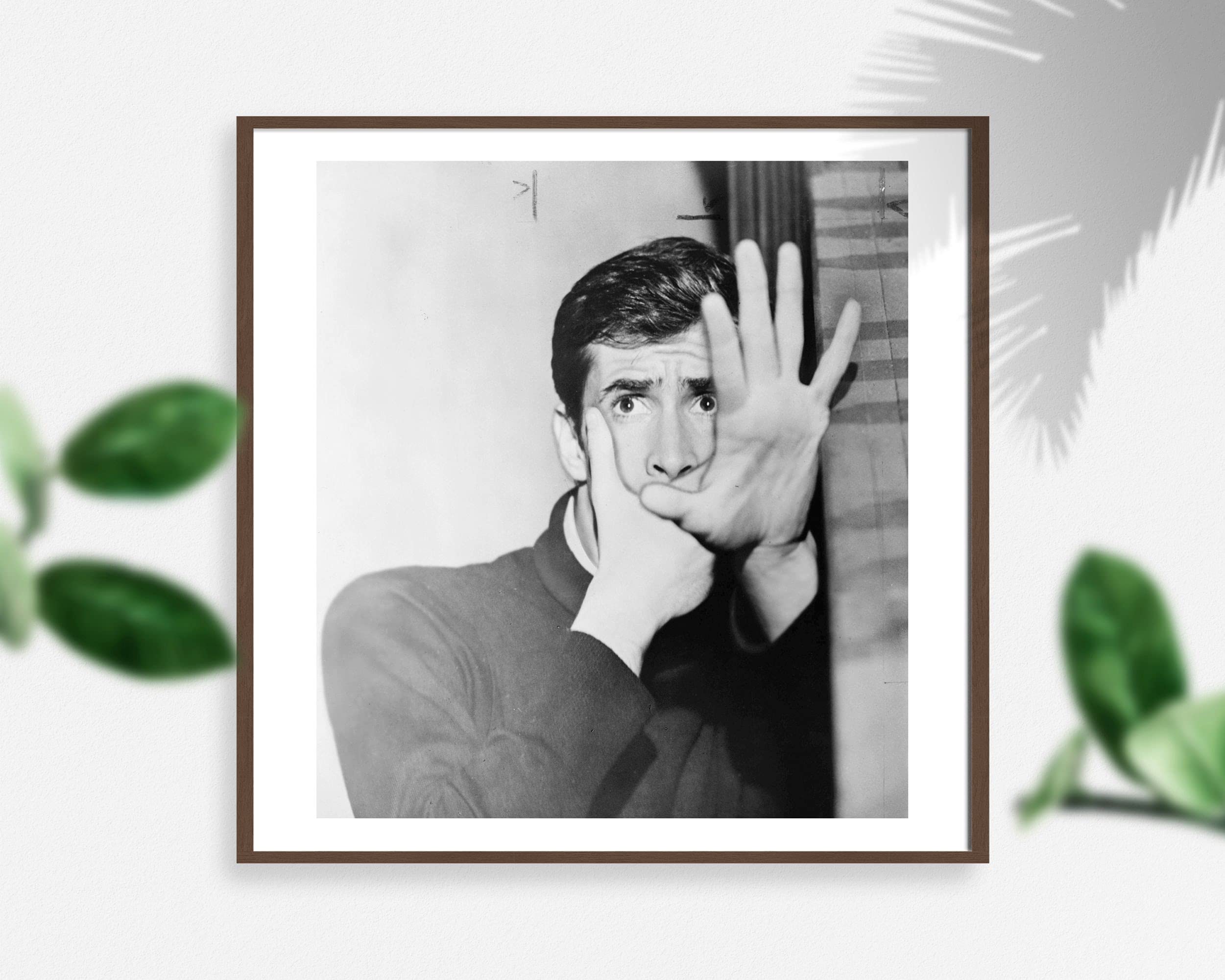 Anthony Perkins Young