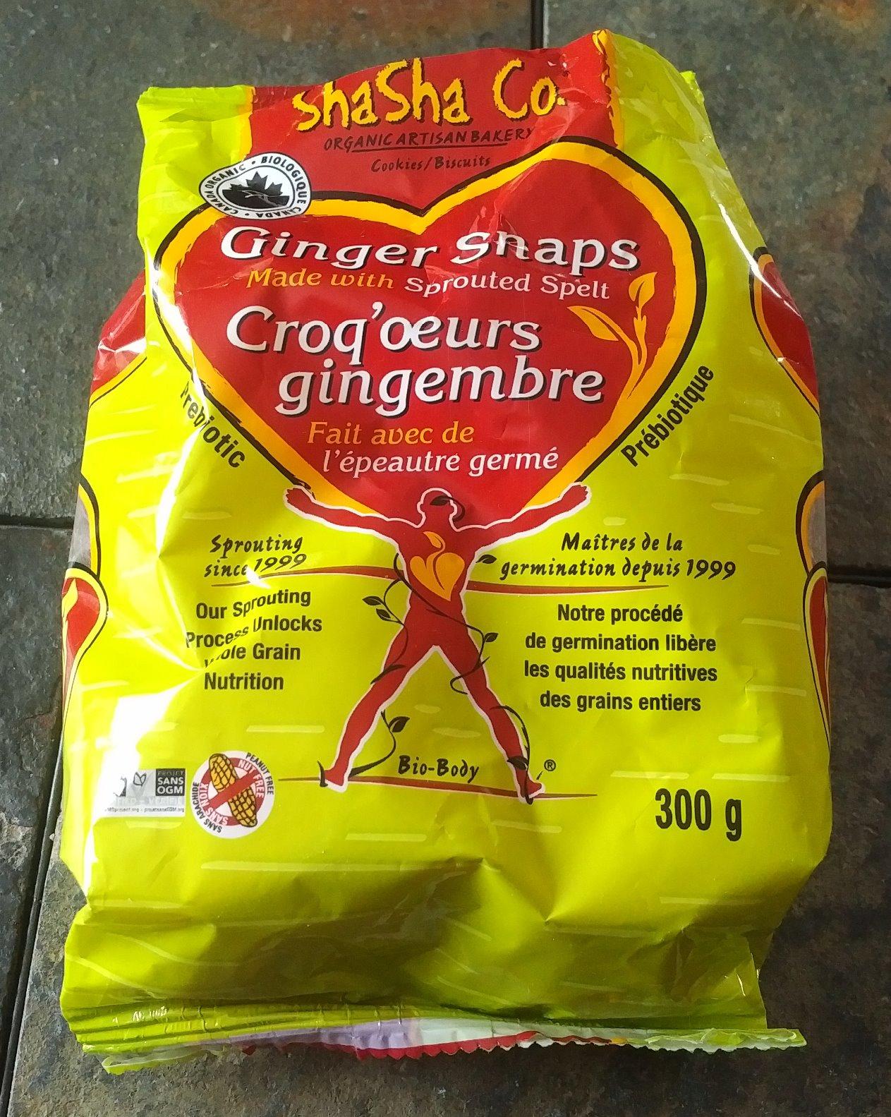 Shasha Co Original Ginger Snap Cookie Bags, 300 grams : Amazon.ca ...