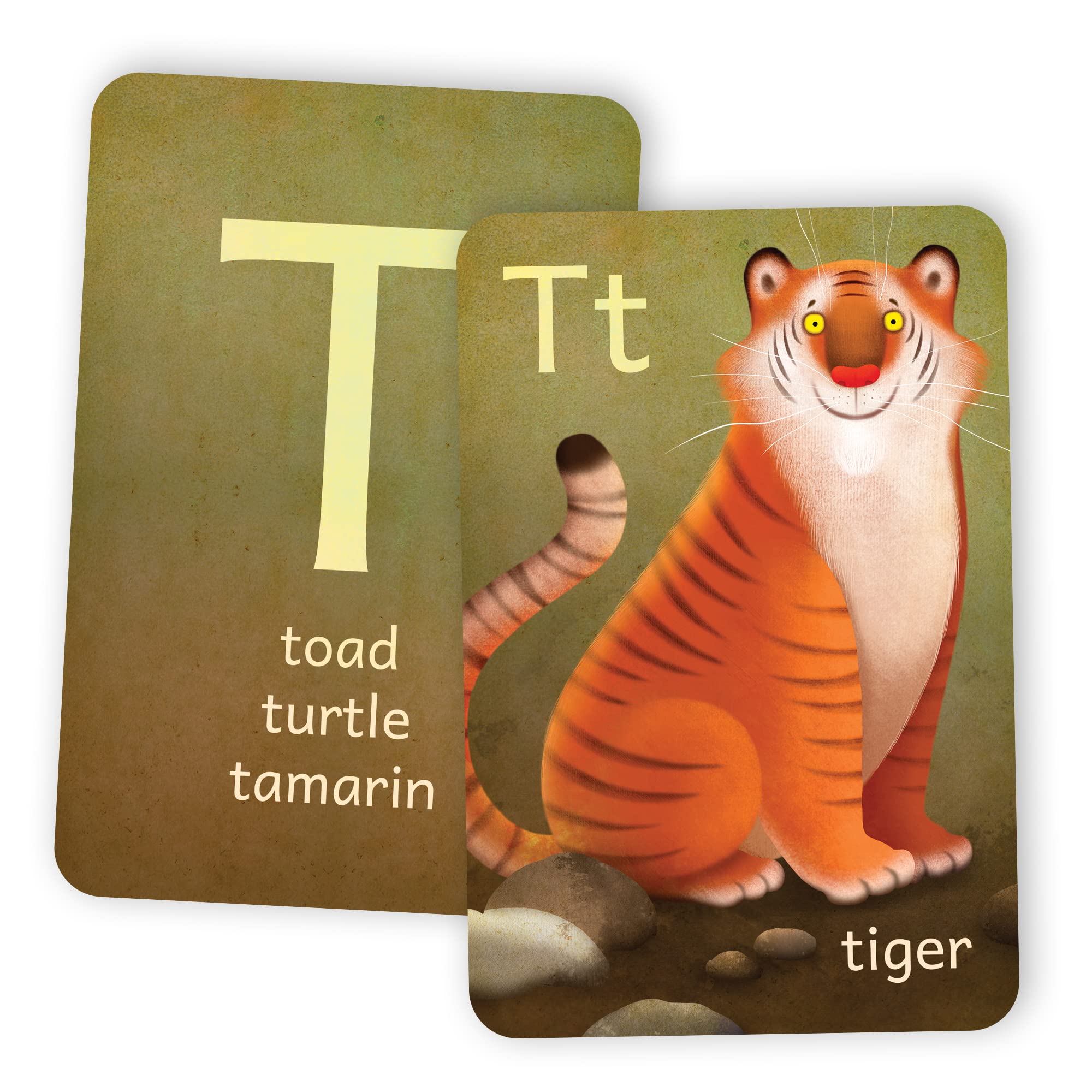 6.6ft Fishing Leader Pack Animal Alphabet Flash Cards - 26 A To Z ...