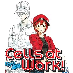 Amazon.com: Cells at Work! Vol. 1 eBook : Shimizu, Akane, Shimizu ...