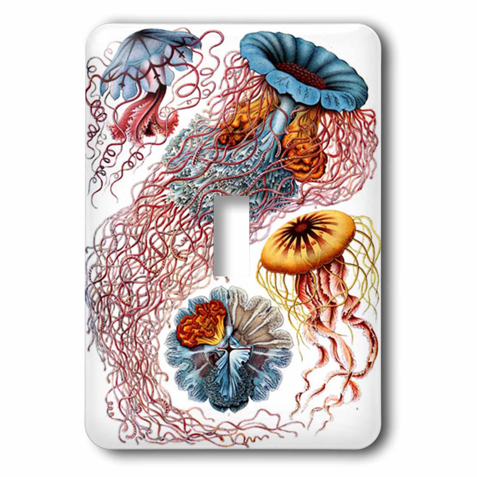 Buy 3dRose lsp_80560_1 Light Switch Cover, Varies Online at desertcartINDIA