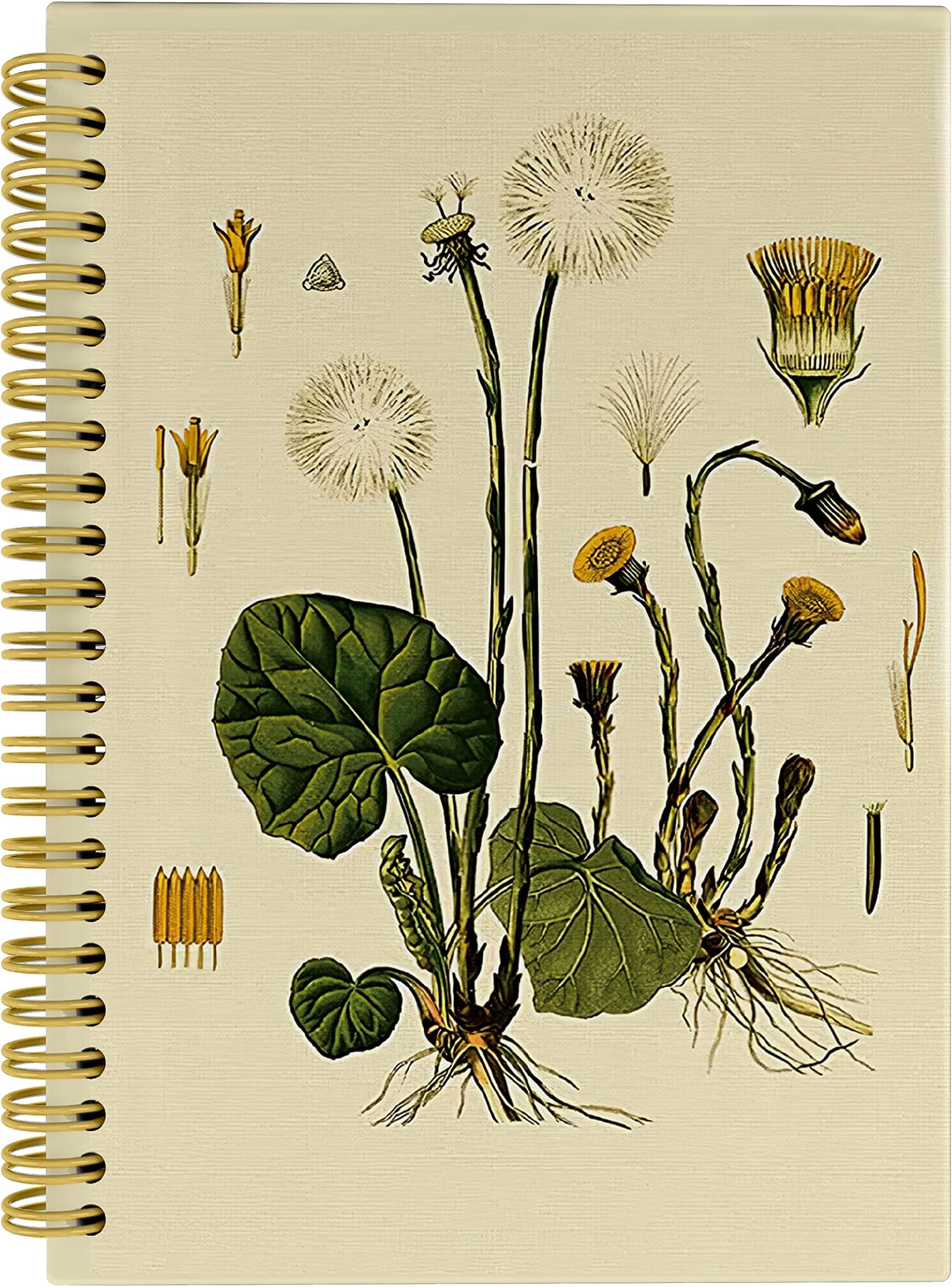 Amazon.com : Knibeo Plant Journal Notebook Aesthetic, Pretty Journal, 5 ...
