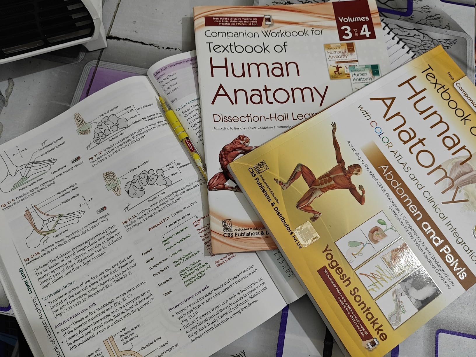 Buy Textbook Of Human Anatomy With Color Atlas And Clinical Integration ...