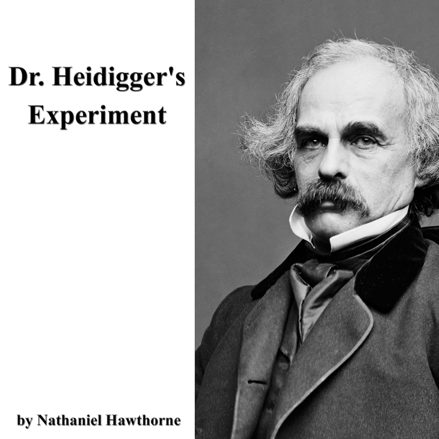 Amazon.com: Dr. Heidigger's Experiment (Audible Audio Edition ...