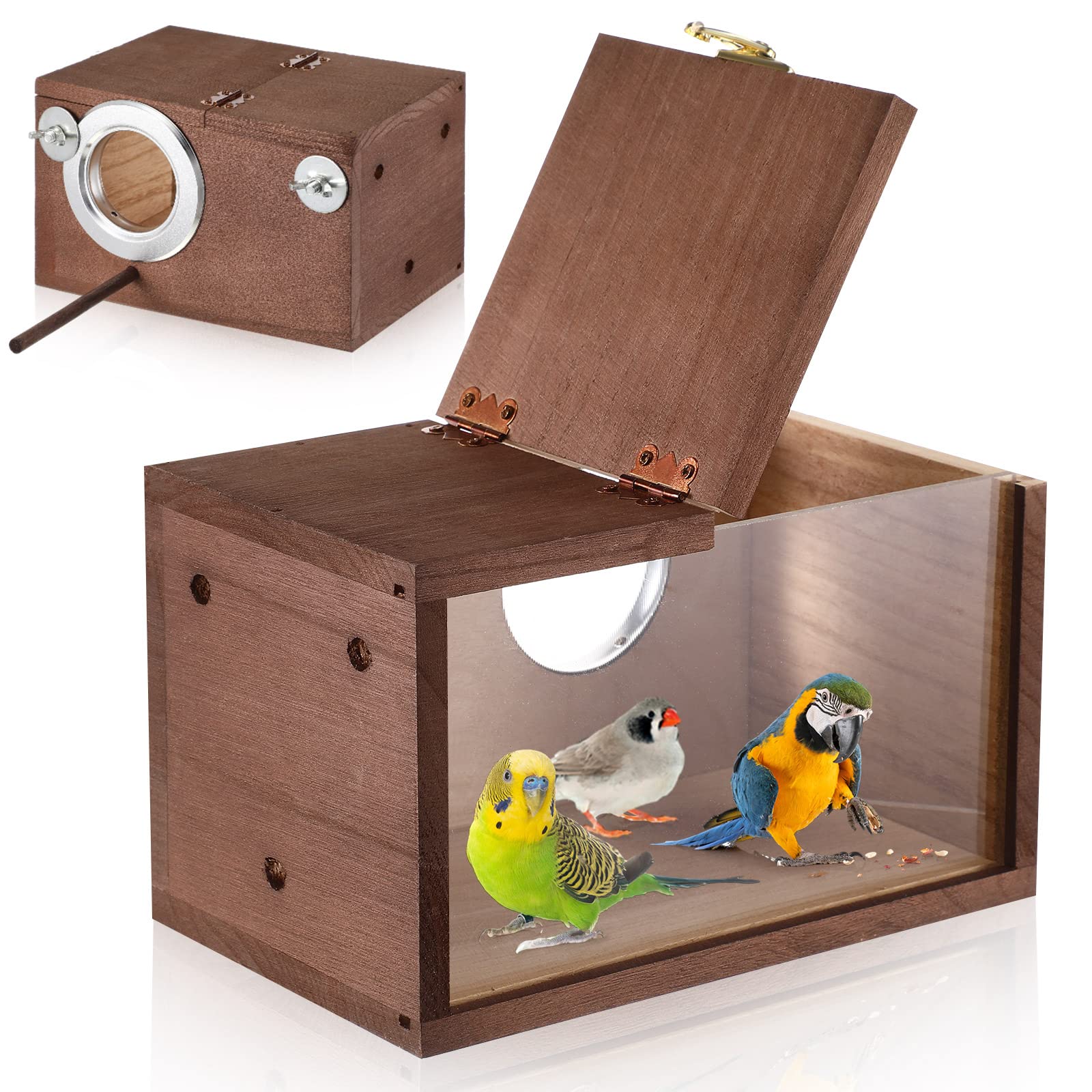 10 Best Budgie Bird Houses for Your Feathered Friends - Hummingbirds Plus