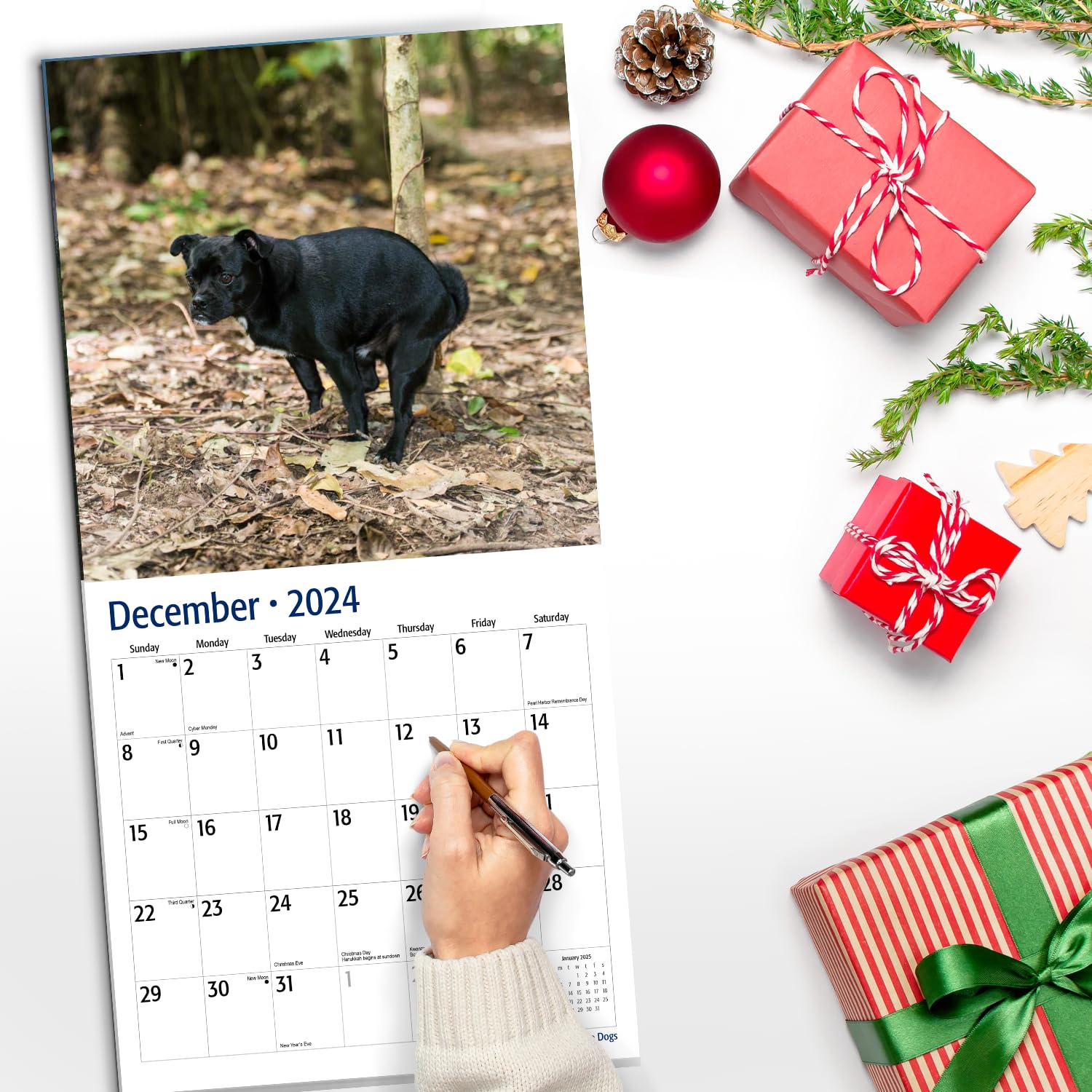 Snapklik.com : Poo Poo Dogs 2024 Hangable Monthly Wall Calendar By Red ...