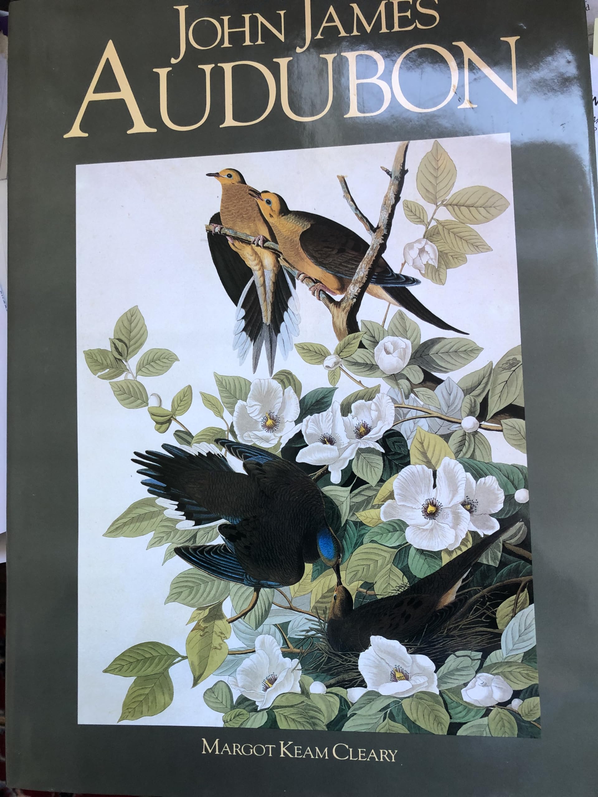 Amazon.com: John James Audubon: American Art Series: 9780517065150: Rh ...