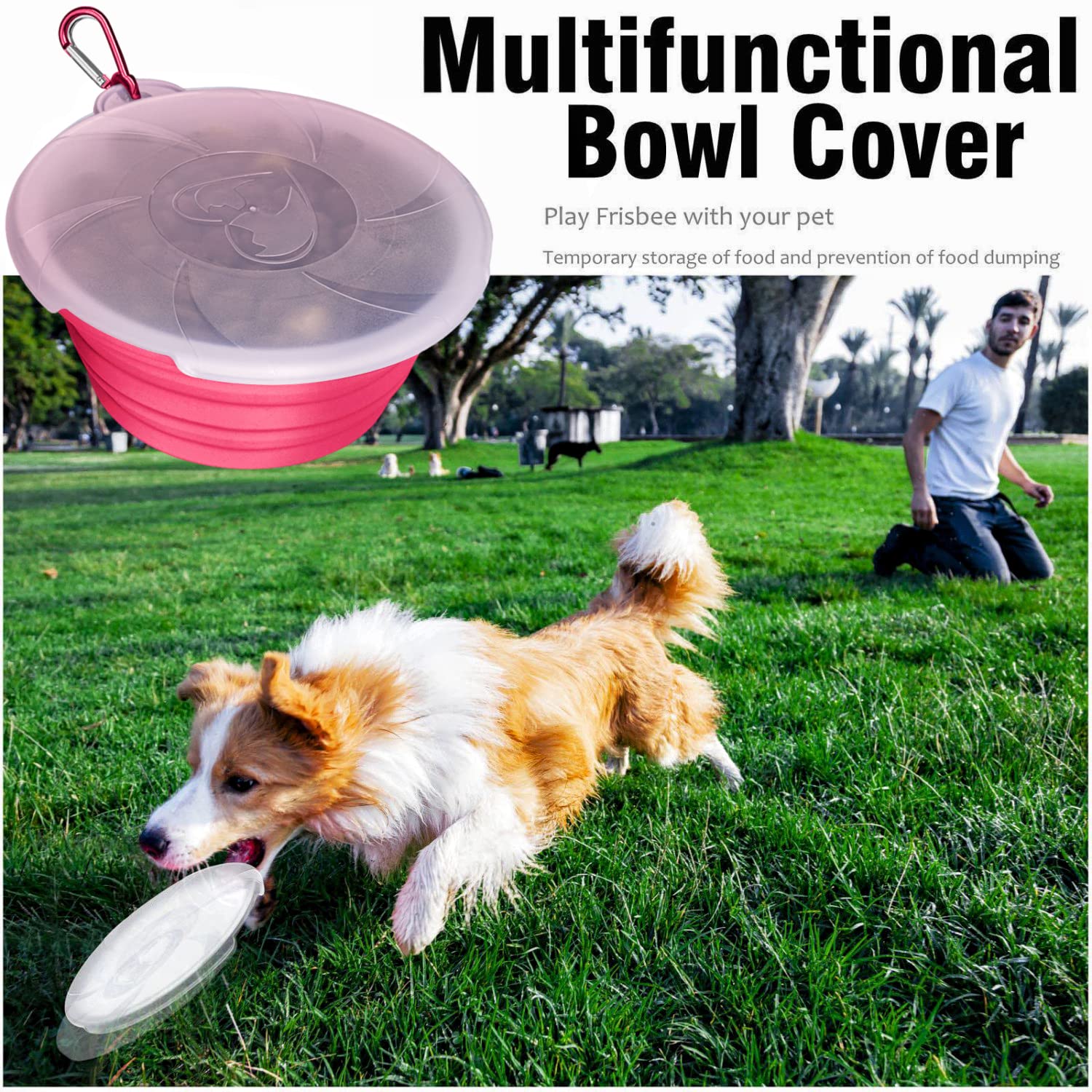 Why Does My Dog Dump His Water Bowl why-does-my-dog-dump-his-water-bowl