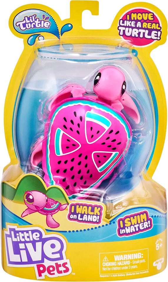 Turtles As Classroom Pets: Good Idea Or Not? | PetShun