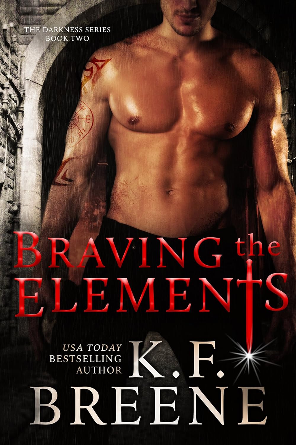 Amazon.com: Braving the Elements (Darkness #2) eBook : Breene, K.F ...