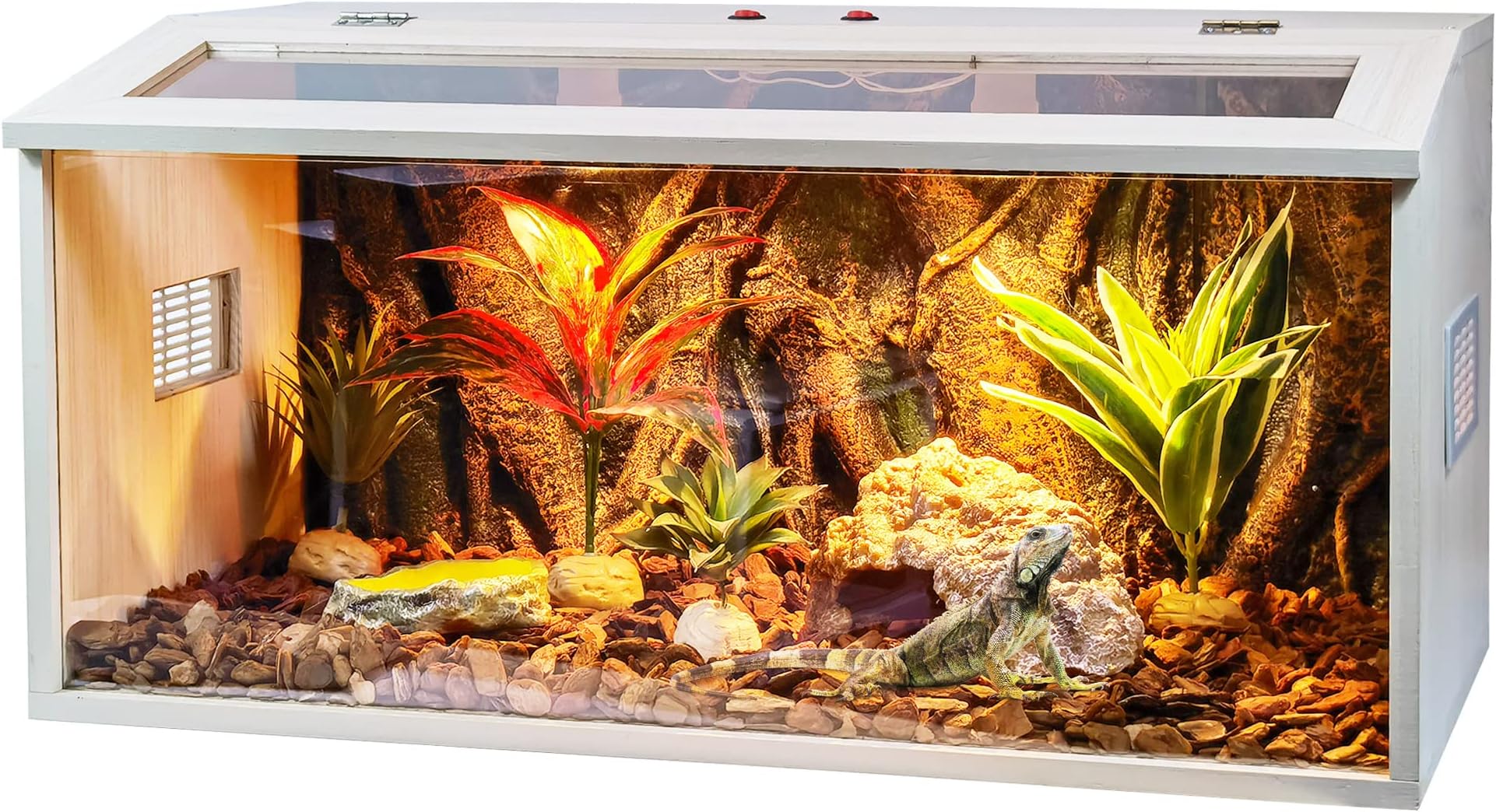 Amazon.com : Prolee 28 Gallon Reptile Terrarium Tank Large, Lizard Tank ...