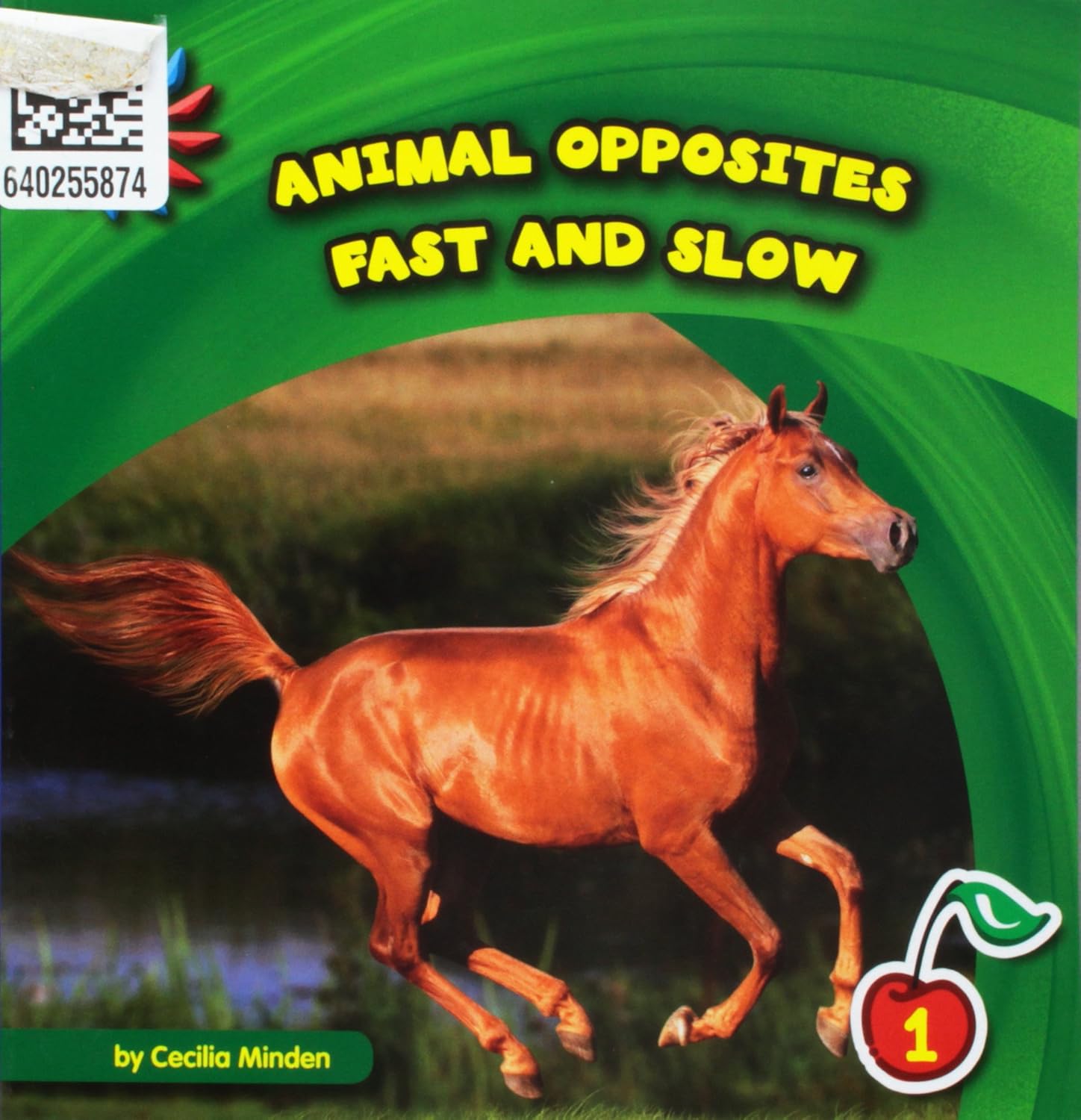 Amazon.com: Fast and Slow (21st Century Basic Skills Library: Level 1 ...