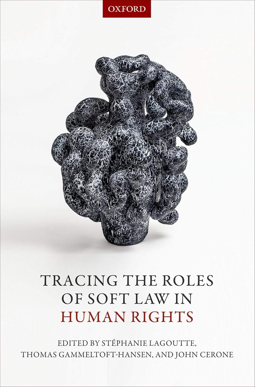 Tracing the Roles of Soft Law in Human Rights - Kindle edition by ...