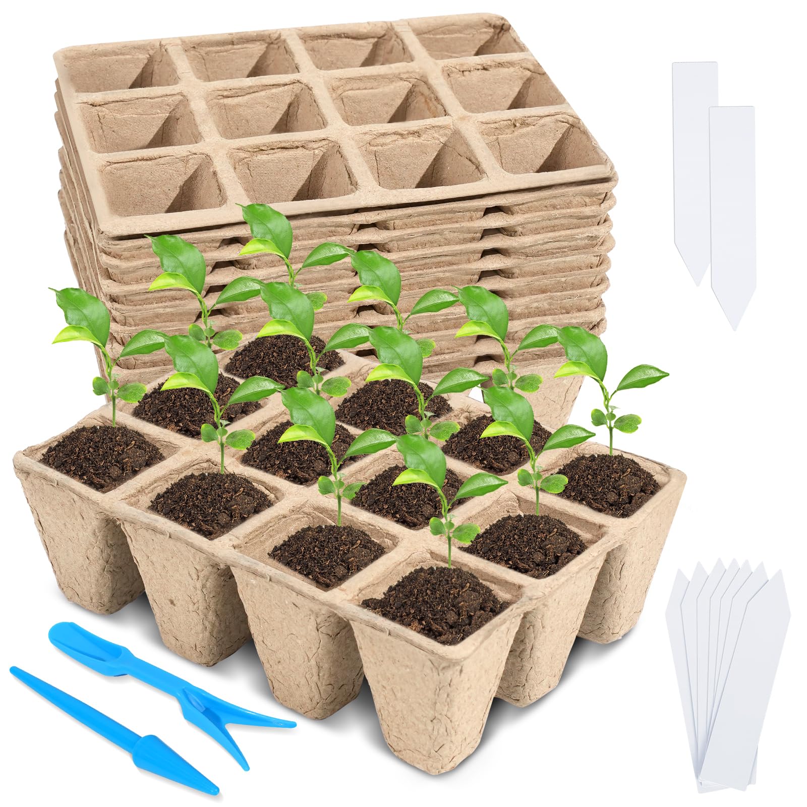 Amazon.com : Loongesho 10 Packs Seedling Starter Trays, 120 Cells ...