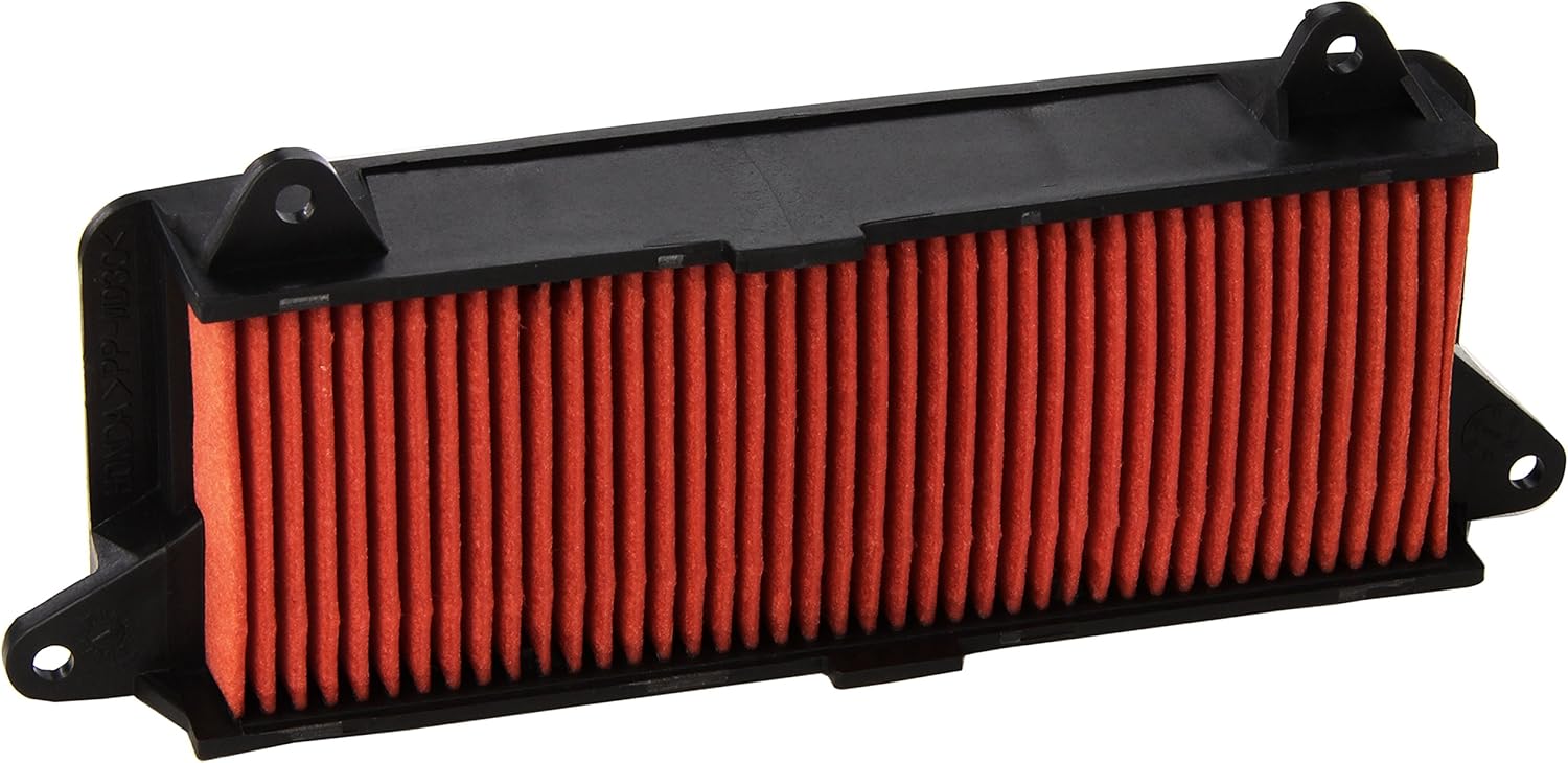 Amazon.com: Honda 17210-GFM-K00 Air Filter : Automotive