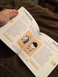 Amazon.com: Basher Science: The Complete Periodic Table: All the ...