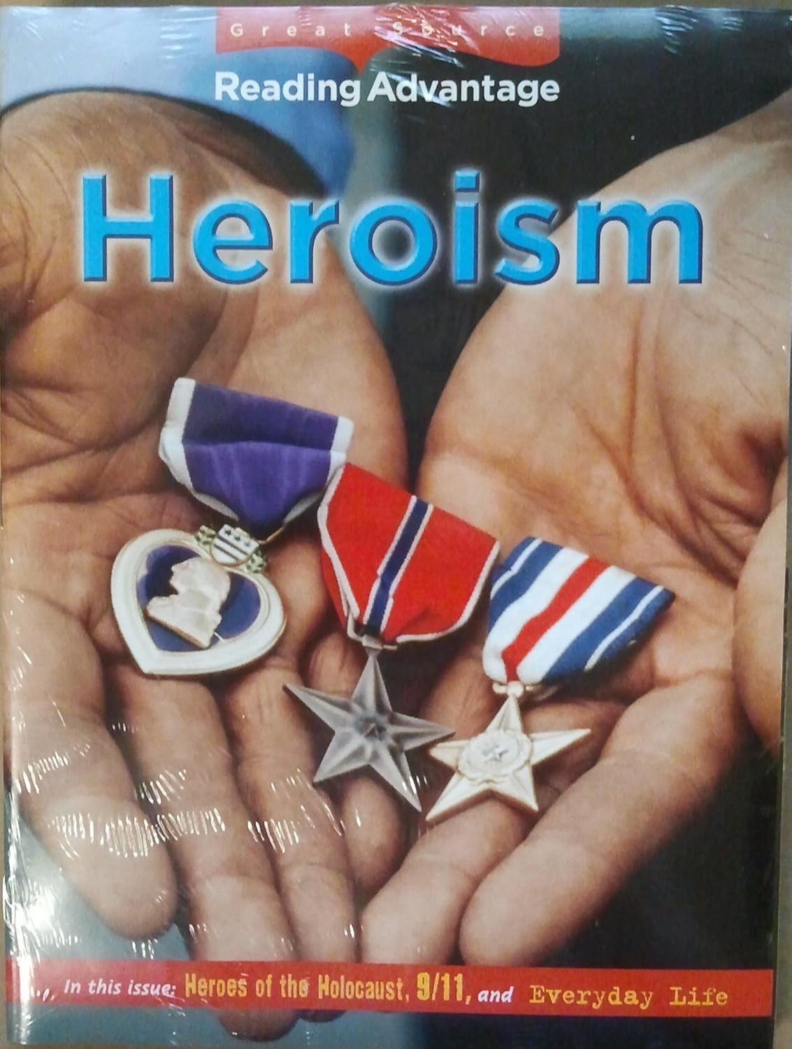 Great Source Reading Advantage: Theme Magazine Heroism Level B: Robb ...
