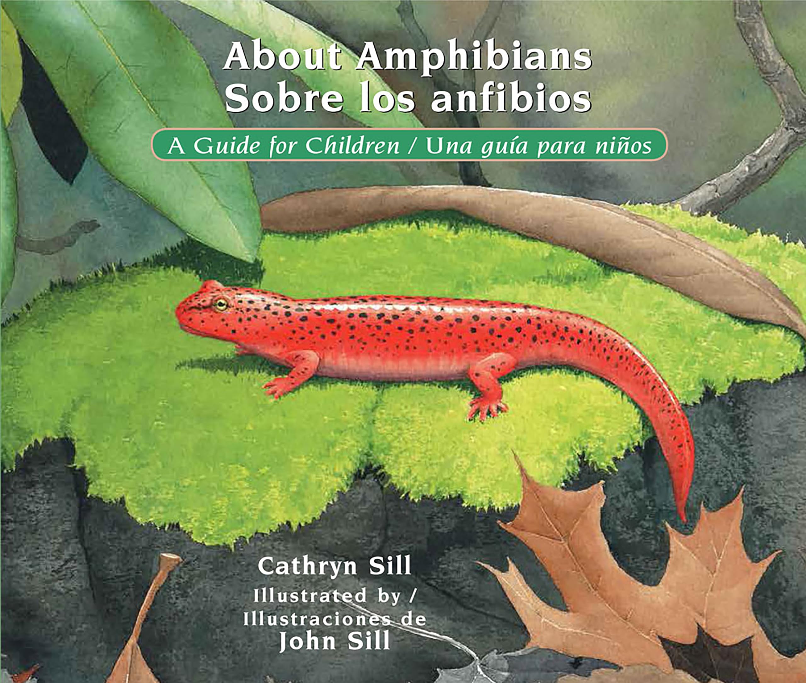 About Amphibians / Sobre los anfibios: A Guide for Children / Una guía ...