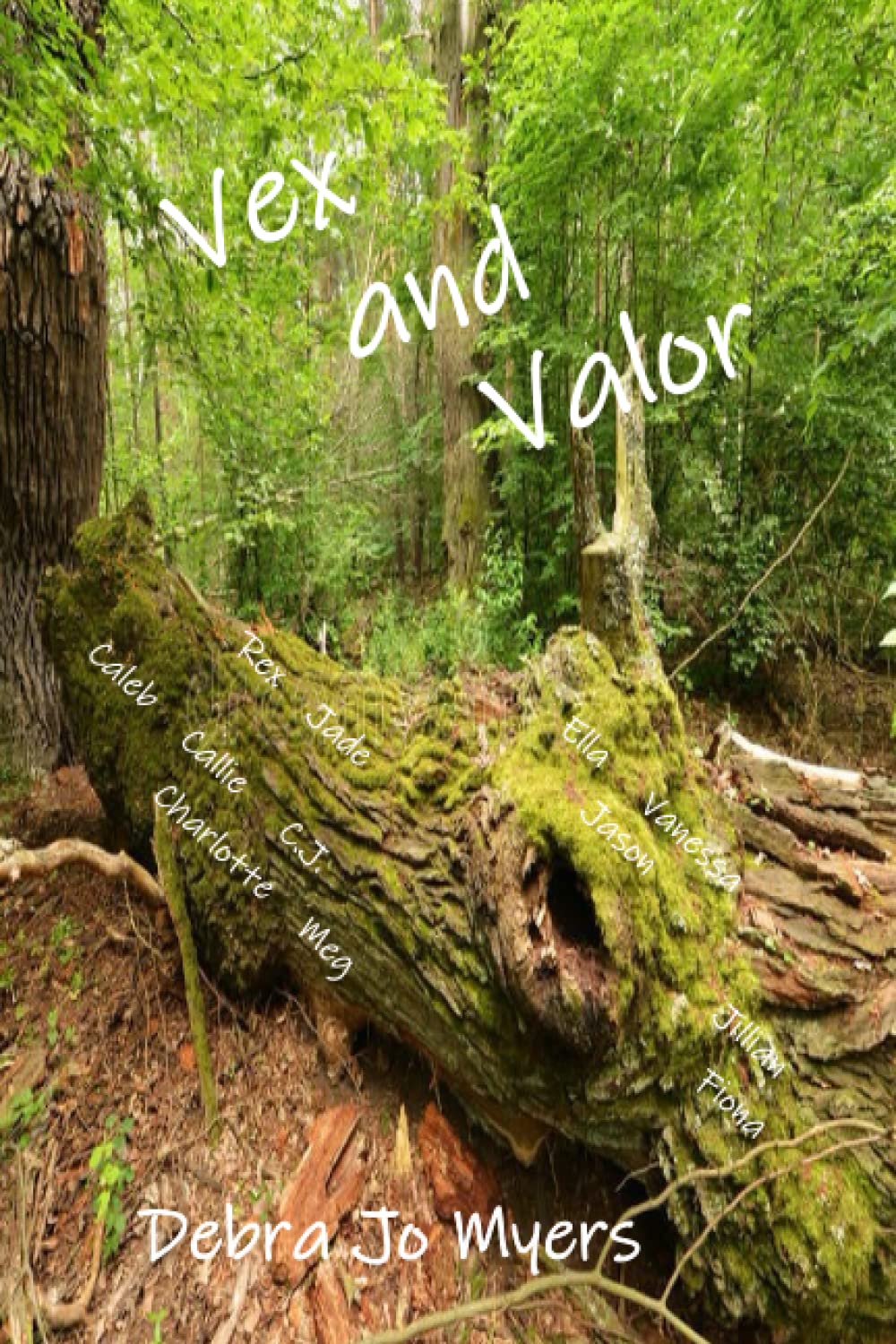 Vex and Valor (The Vee Trilogy): Myers, Debra Jo: 9798703932711: Amazon ...