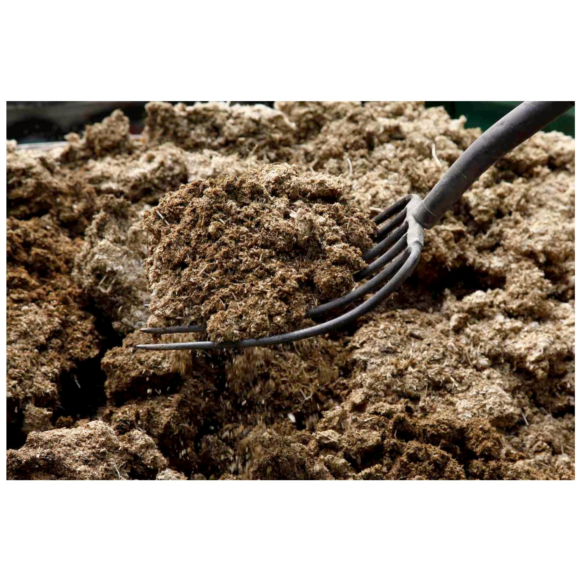 Eco Friendly Cow Dung Manure for Plants Dried Powder with Cow Urine ...