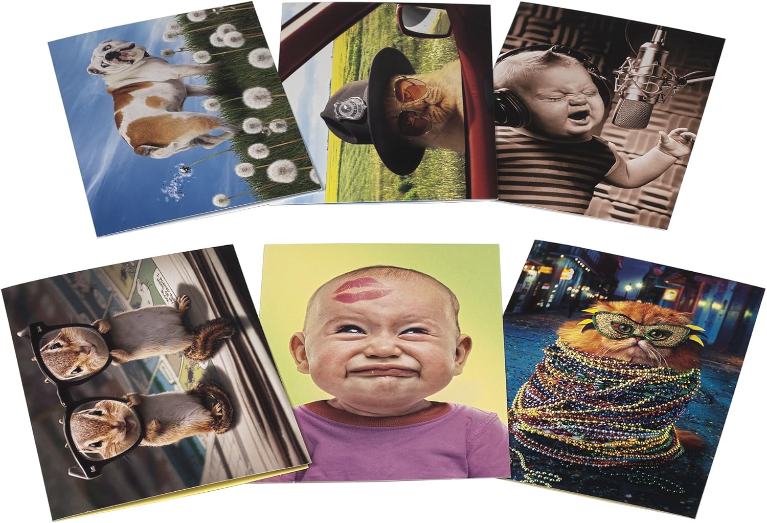 Amazon.com : Avanti Birthday Card Collection, It's Your Birthday, 12 ...