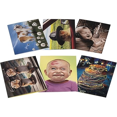 Amazon.com : Avanti Birthday Card Collection, It's Your Birthday, 12 ...