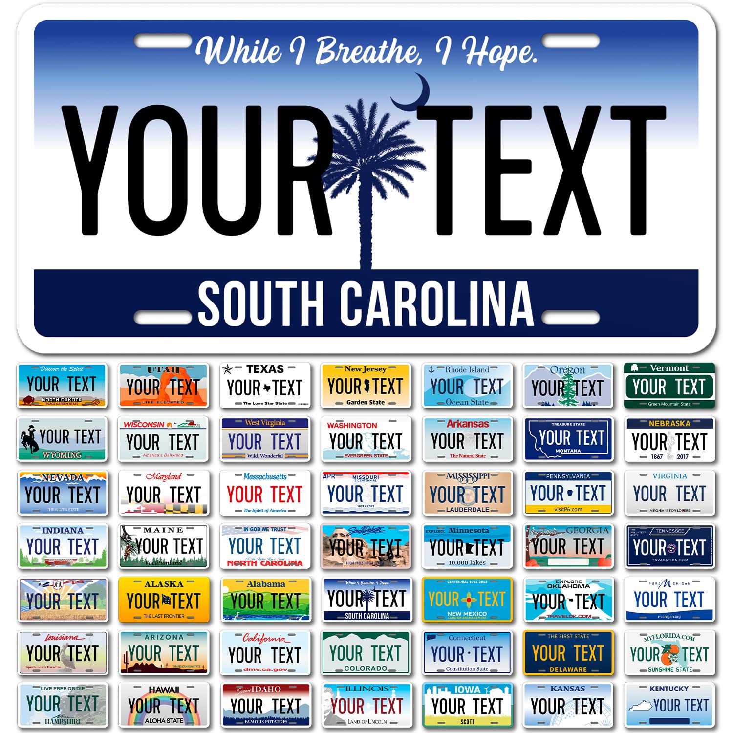 South Carolina Dmv Specialty Plates Share The Road License Plate