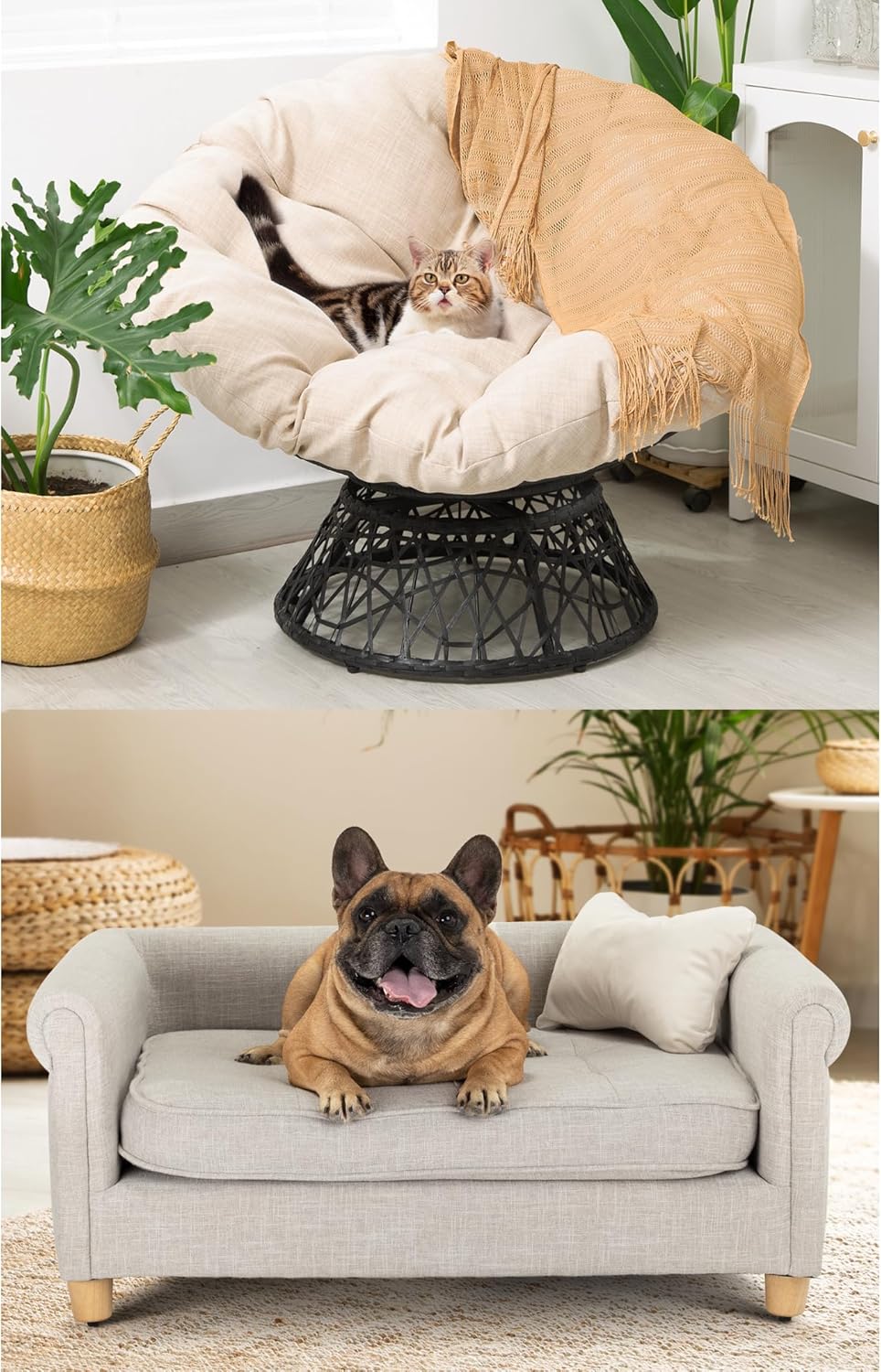 Amazon.com: Bme Ergonomic Wicker Papasan Chair with dCee Cat Couch ...