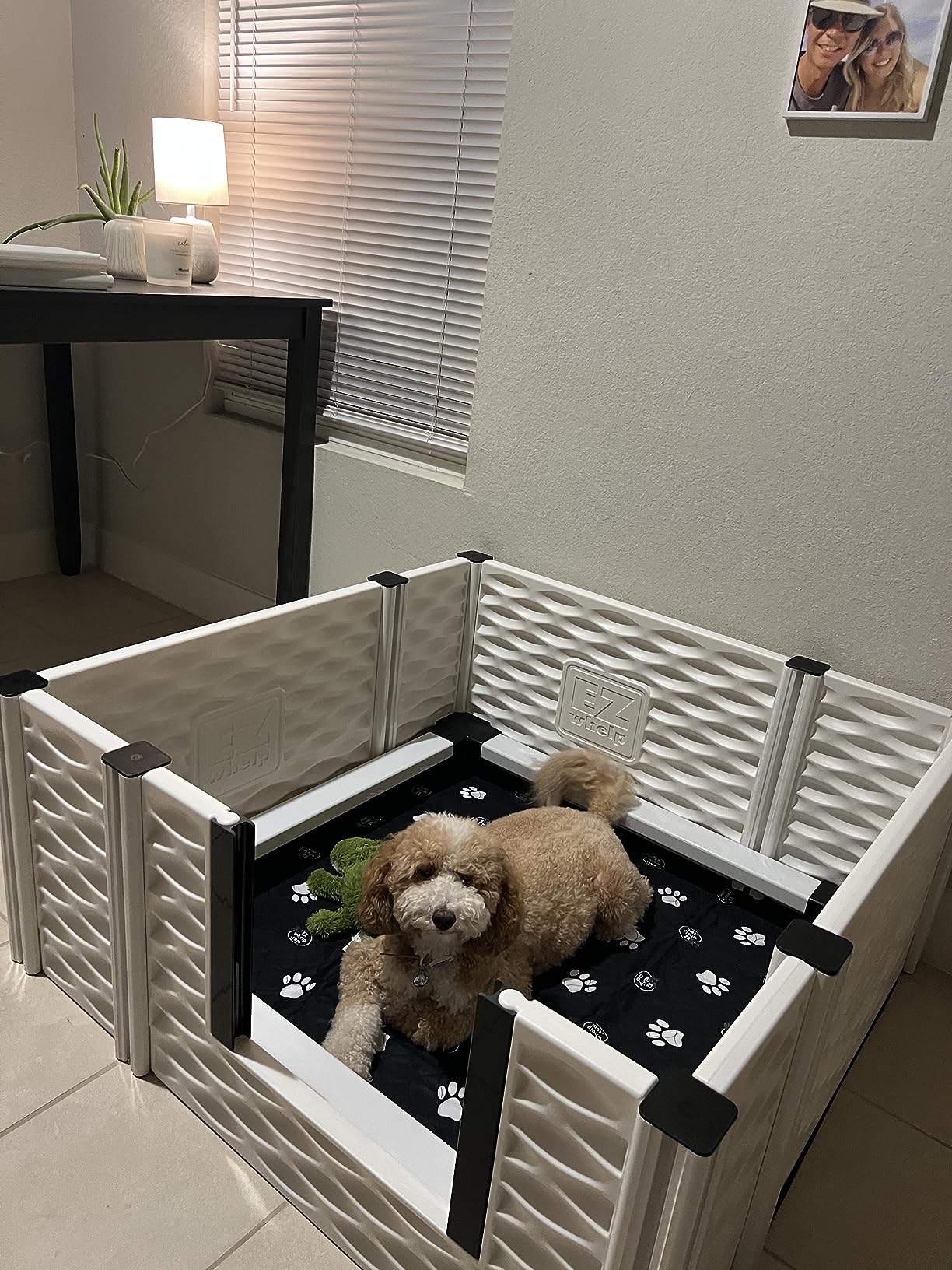 $33/mo - Finance EZWHELP EZCLASSIC Whelping Box for Dogs and Puppies ...