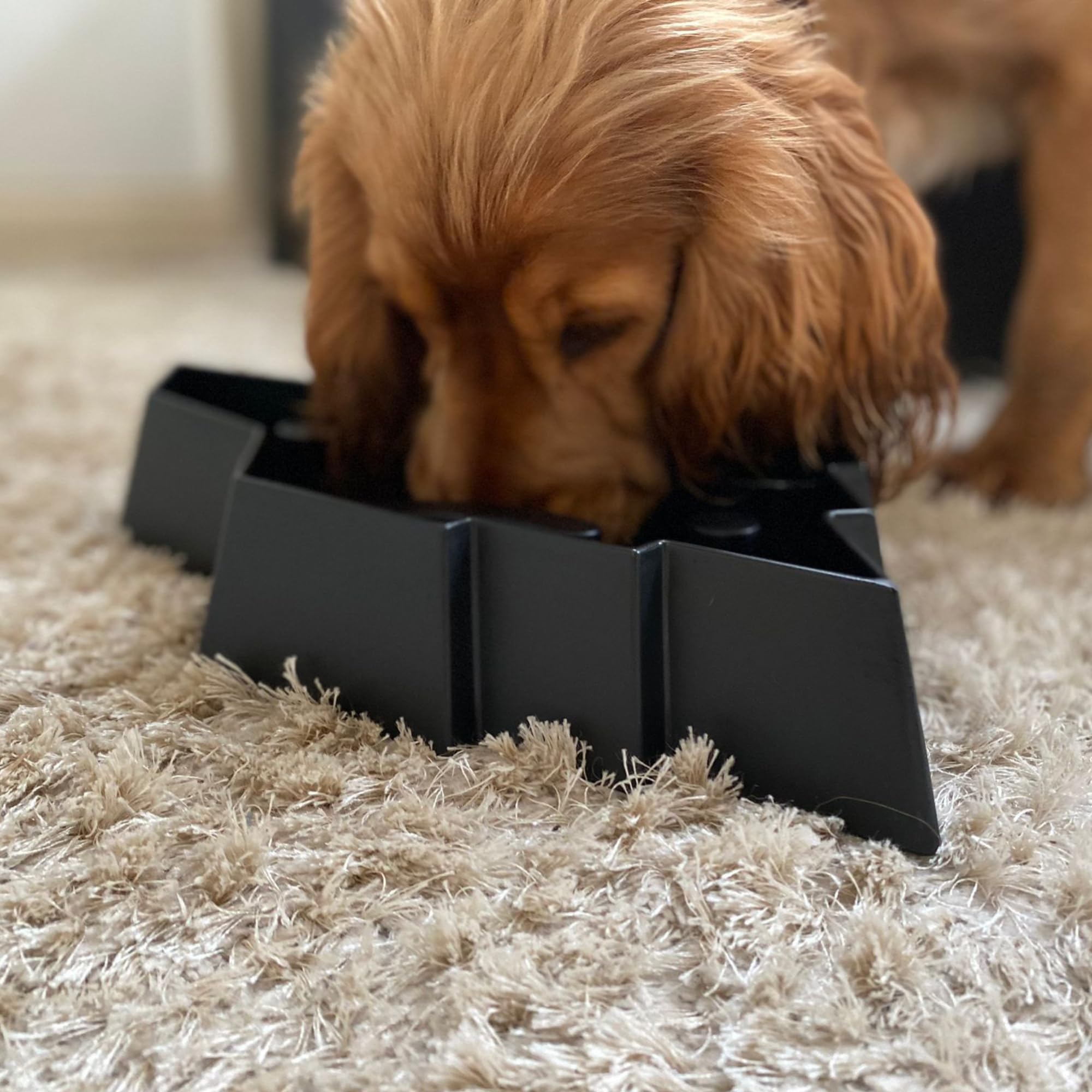 Snapklik.com : Large Slow Feeding Interactive Enrichment Puzzle Bowl ...