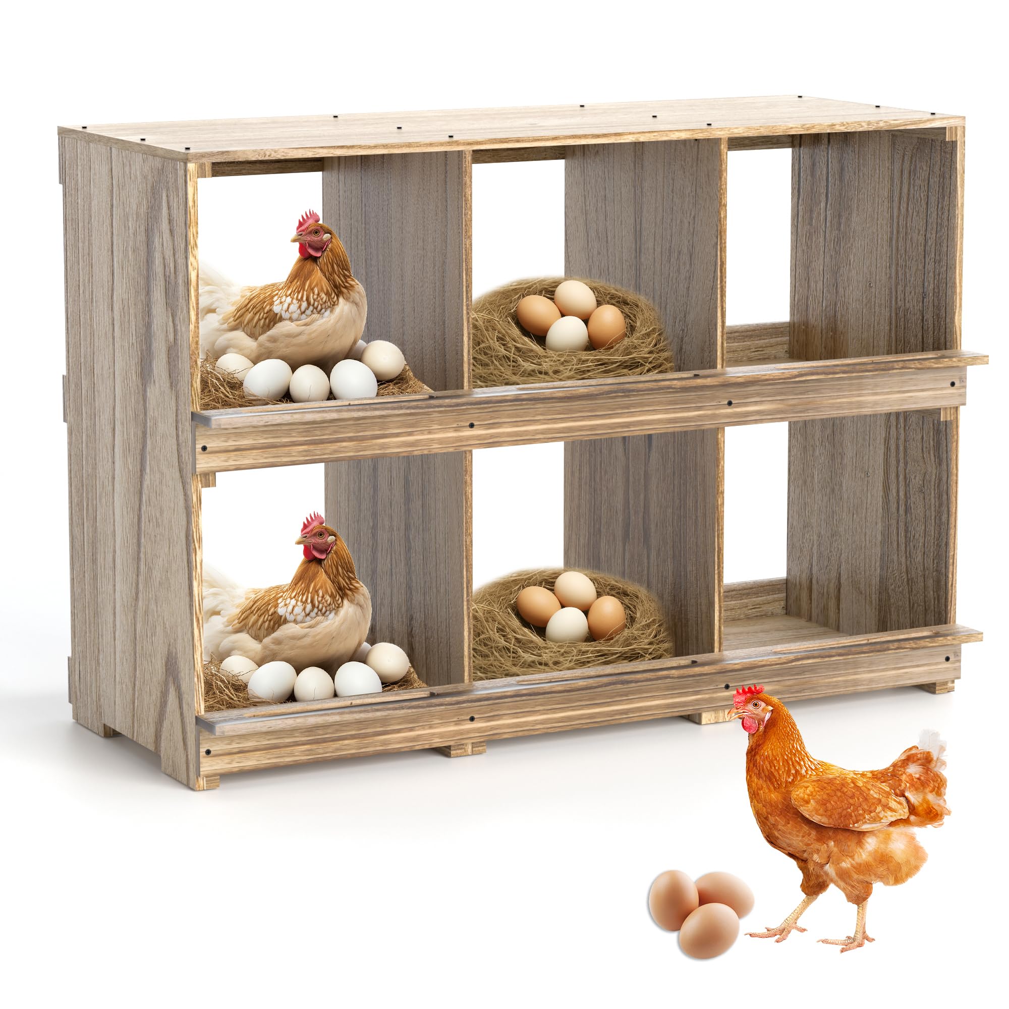 Chicken Coops For 12 Chickens With Egg Box