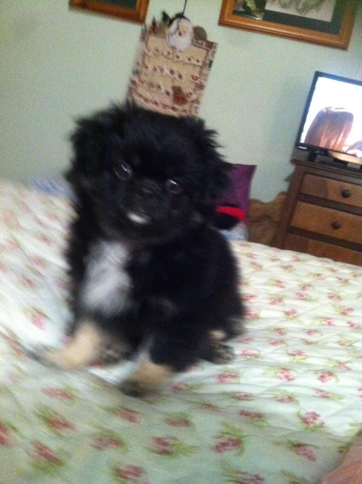 Follow You Home eBook : Edwards, Mark: Amazon.co.uk: Kindle Store