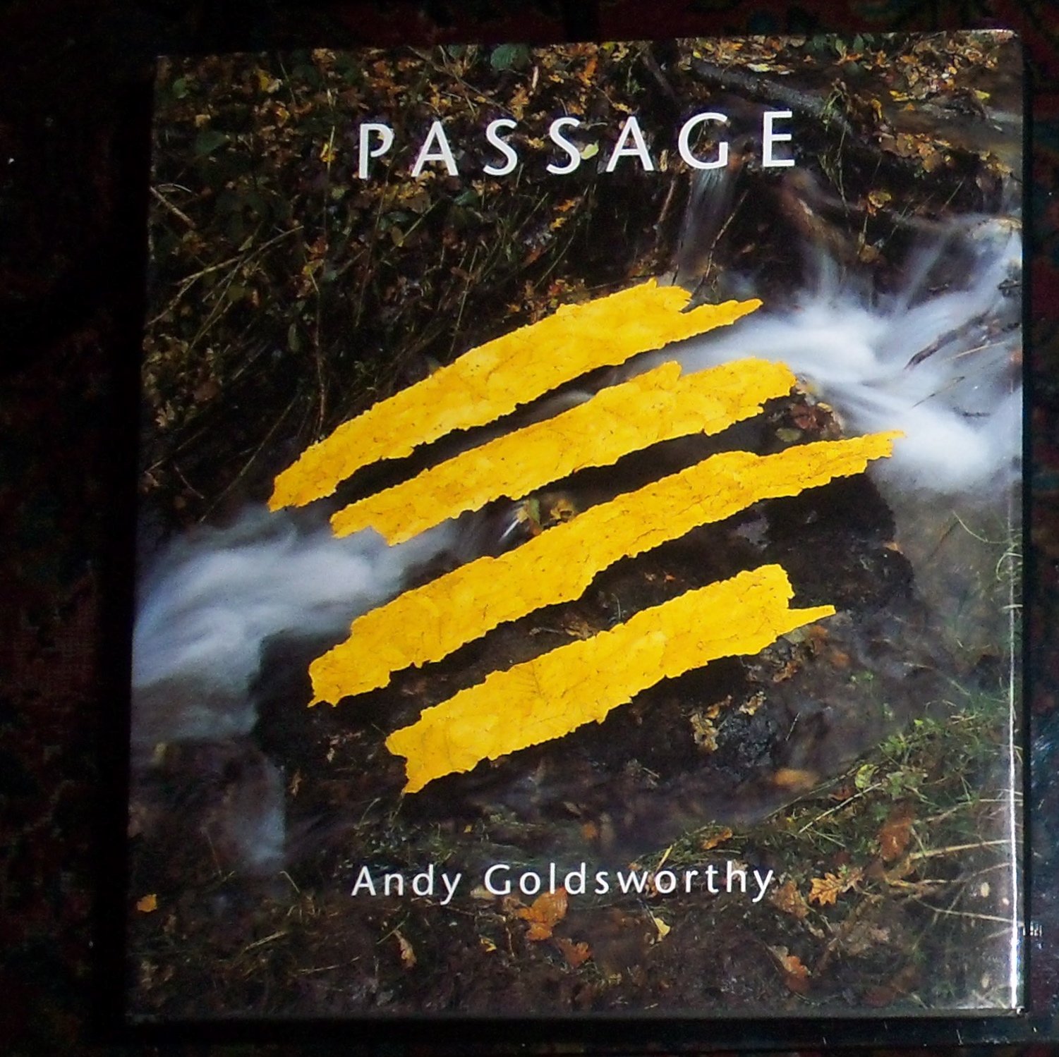 Passage: Goldsworthy, Andy: 9780810955868: Amazon.com: Books