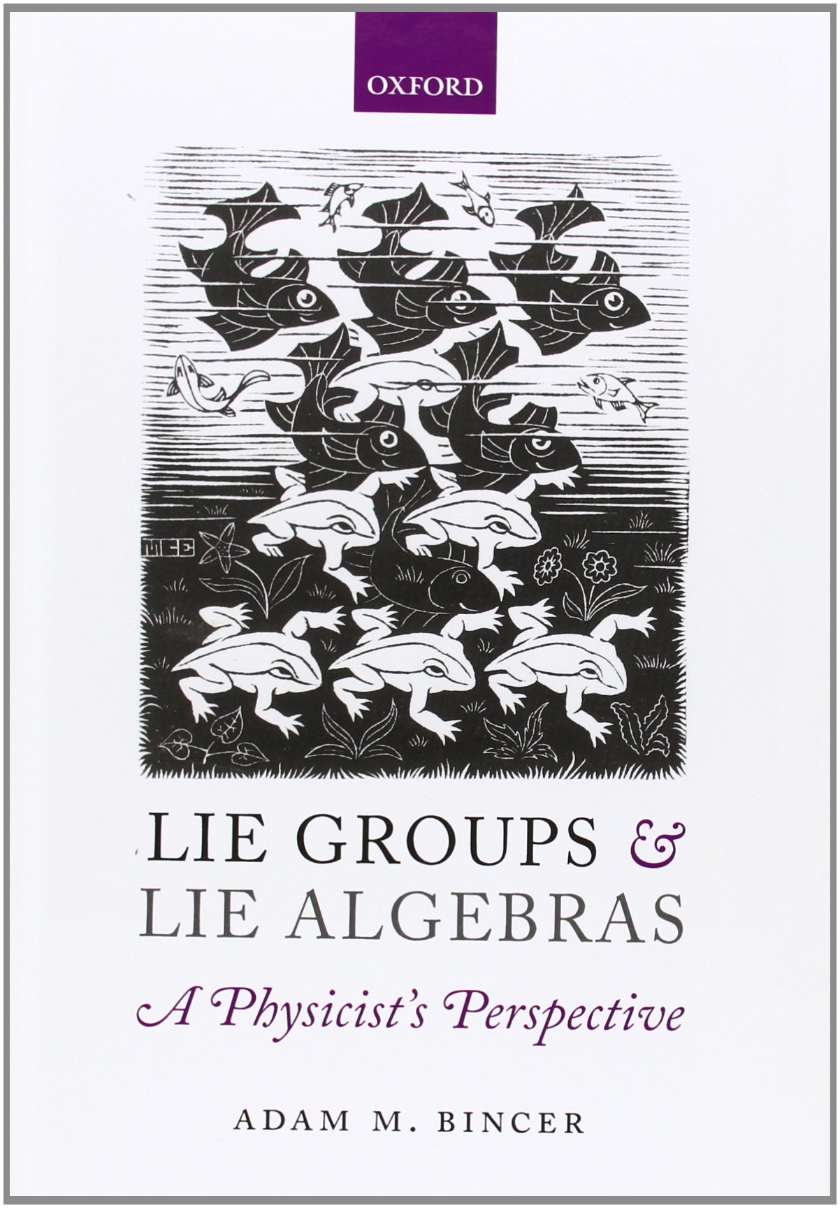 Lie Groups and Lie Algebras - A Physicist's Perspective: Bincer, Adam M ...