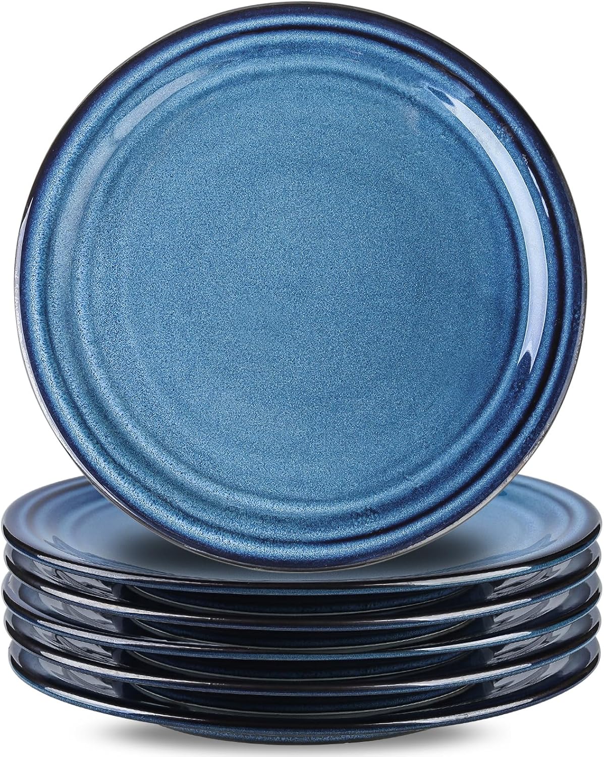Amazon.com | Hasense 10 Inch Dinner Plates Set of 6,Ceramic Large ...