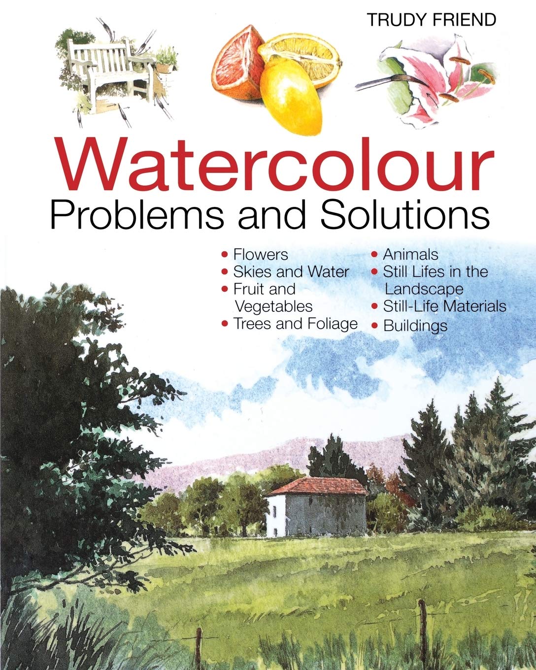 Watercolour Problems and Solutions: A Trouble-Shooting Handbook: Friend ...