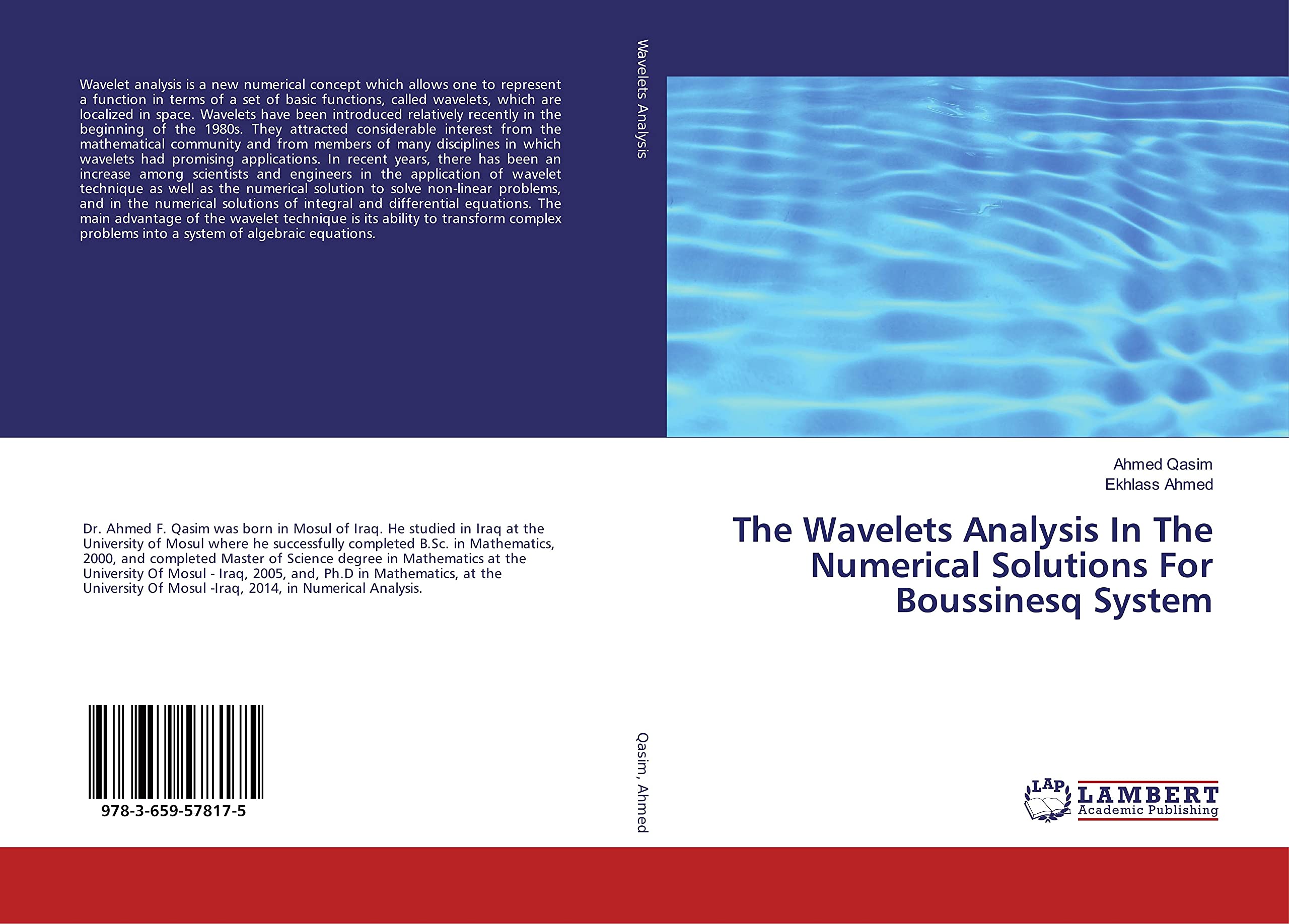 Amazon.com: The Wavelets Analysis In The Numerical Solutions For ...