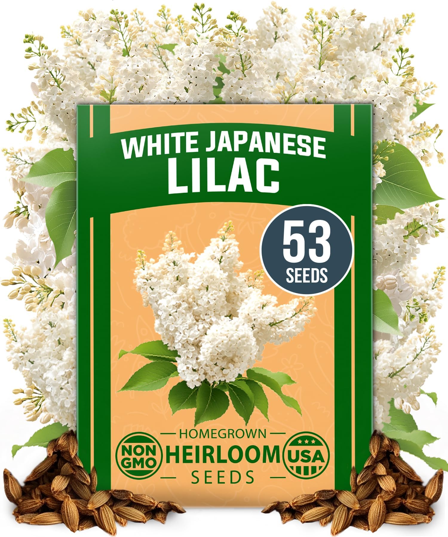 Amazon.com : Heirloom Roses Earth Angel Rose Plant - Parfuma® Earth ...