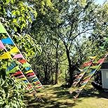 Amazon.com : 250pcs Multicolor Pennant Flags,LOOBJOYGAME 263Ft Nylon ...