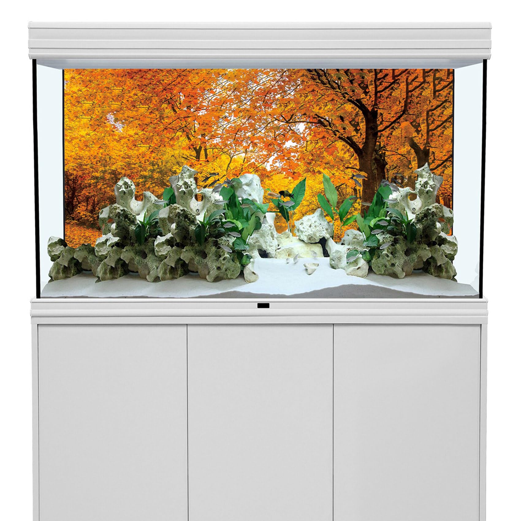 Snapklik.com : Fish Tank Background 48x18 Inch Autumn Natural Landscape ...