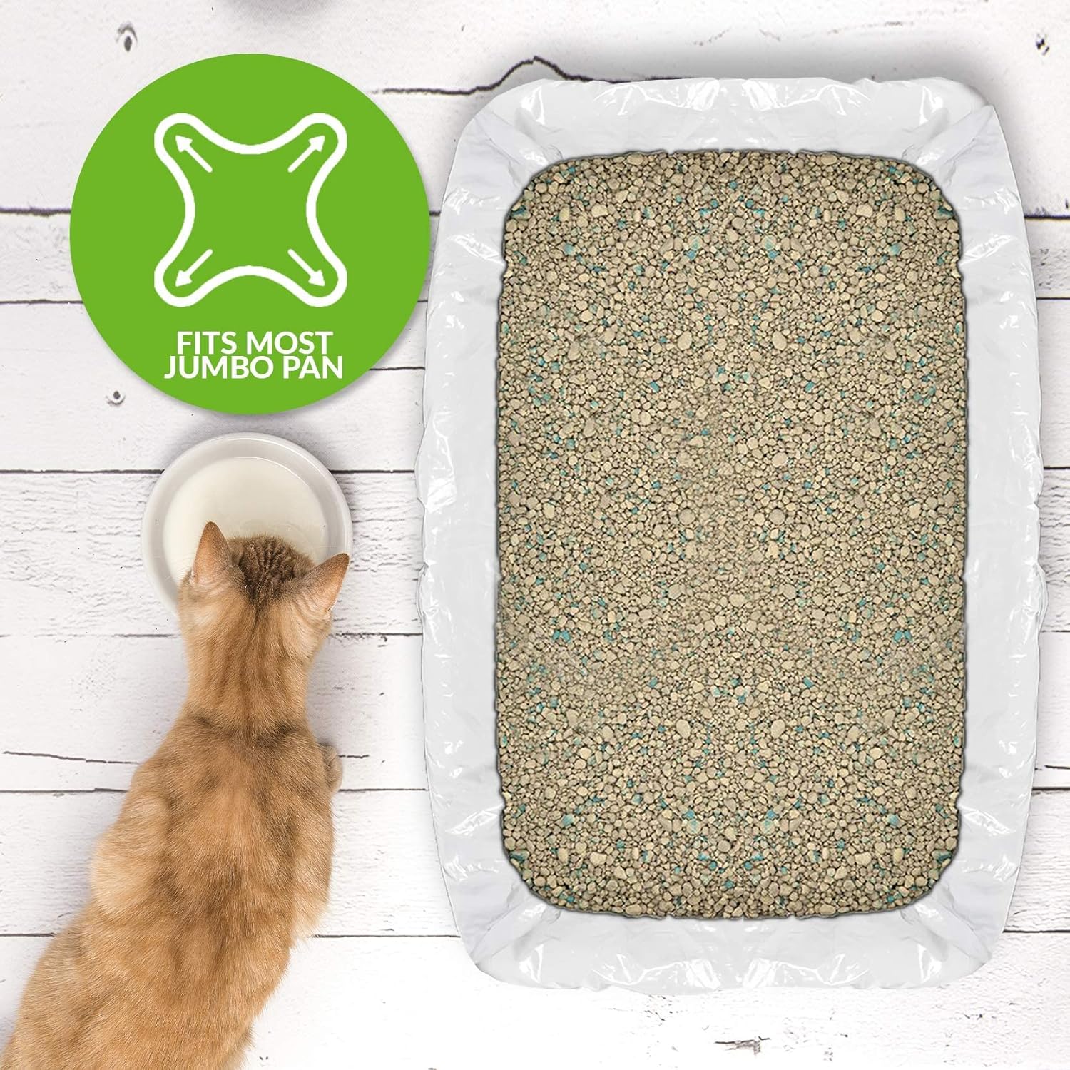 Alfapet Kitty Cat Pan – Caja de arena desechable, forros elásticos ...