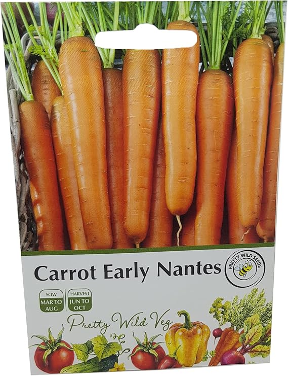 Carrot Early Nantes Seeds in Pictorial Packet from a UK Seller ...