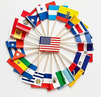 Amazon.com : stidsds Latin America 21 Countries Toothpick Flags Mini ...