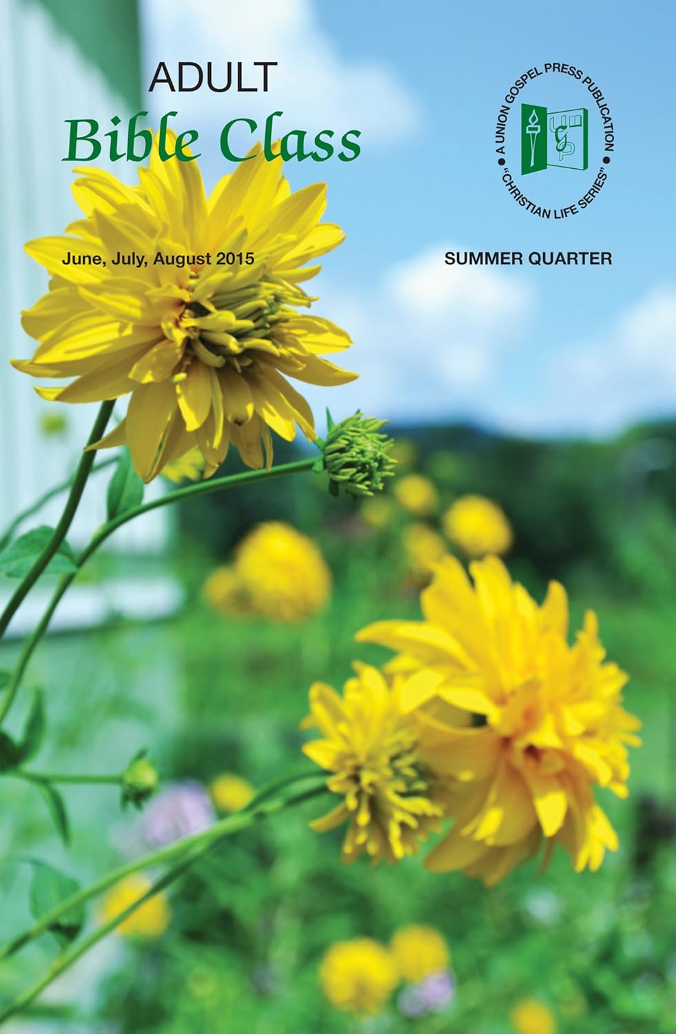 Adult Bible Class - Kindle edition by Union Gospel Press. Religion ...